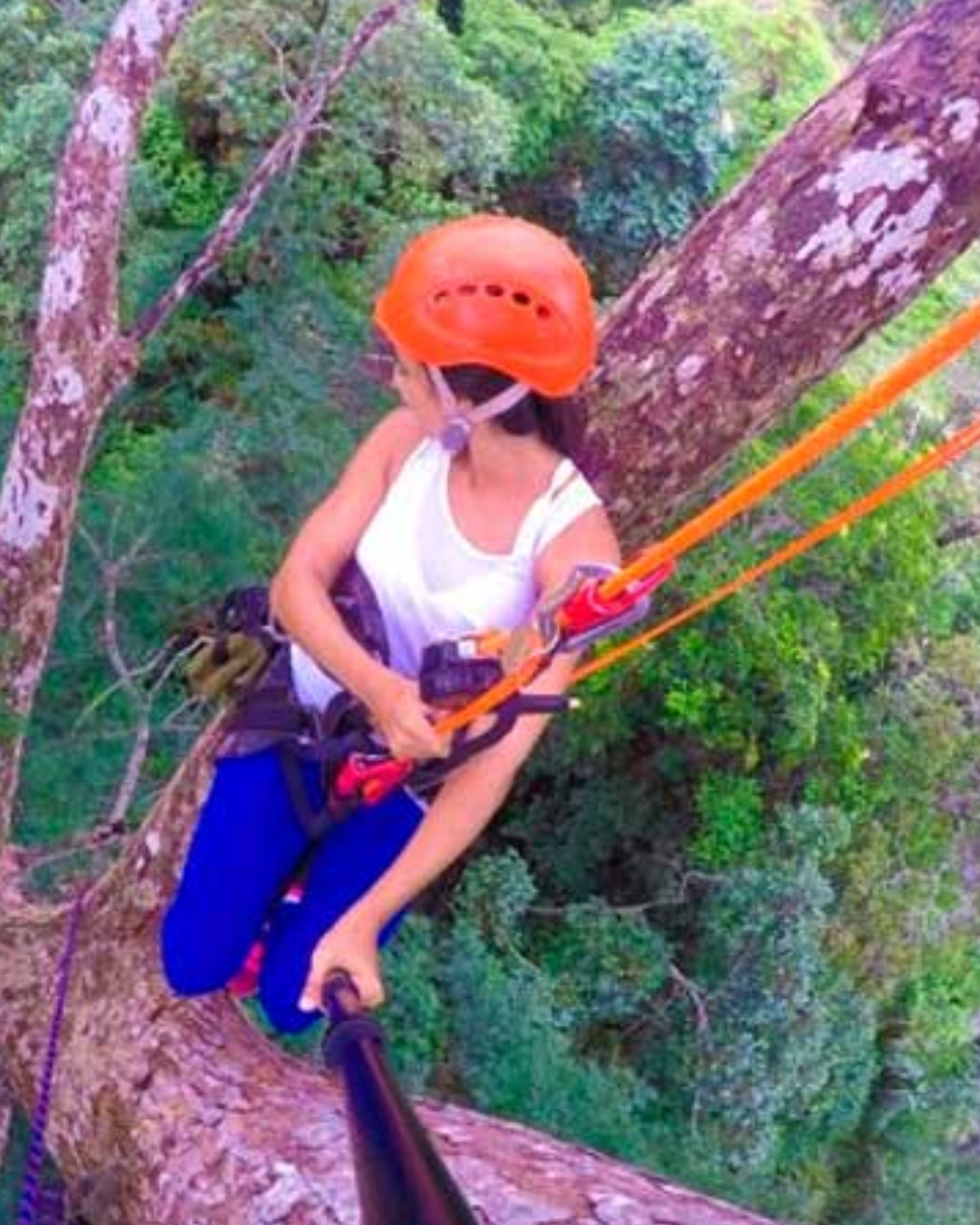 Adventure Tree Climbing – Olímpio Carneiro Turismo